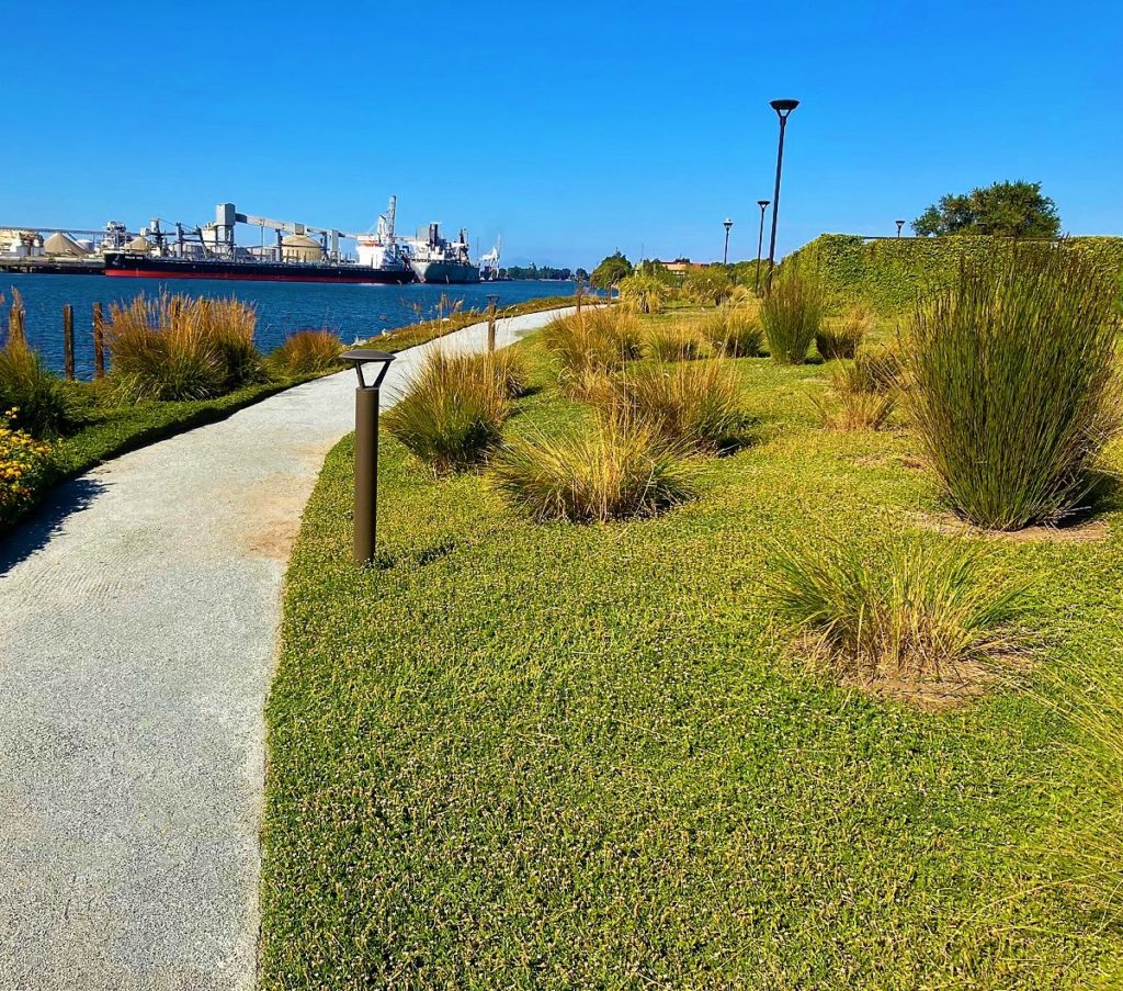 Reviews - Kurapia - Sole Producer - Drought Tolerant Groundcover